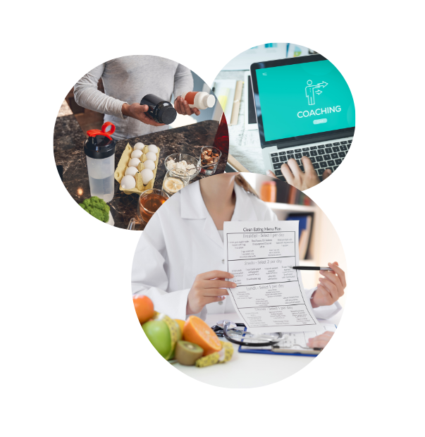 Online Nutrition Courses Become a Certified Nutrition Coach